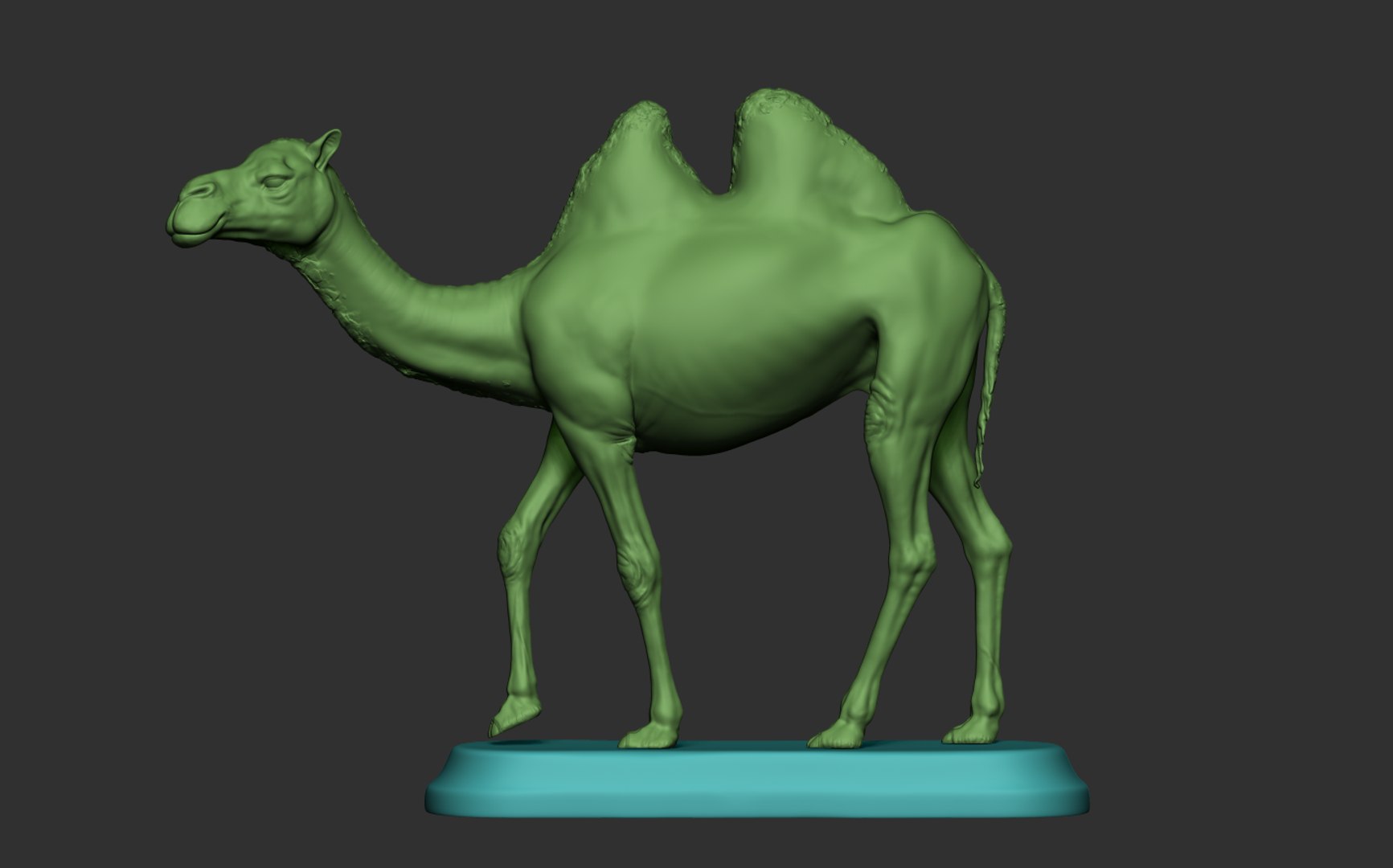 Camel 3D Model - TurboSquid 1940077