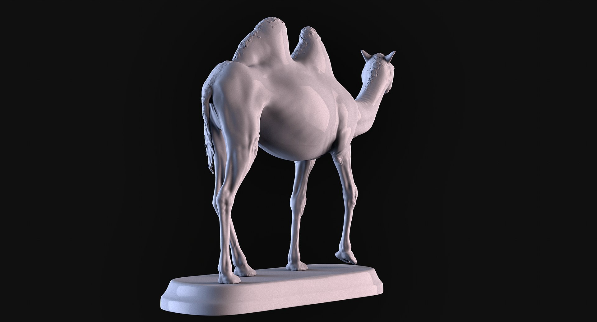 Camel 3D Model - TurboSquid 1940077