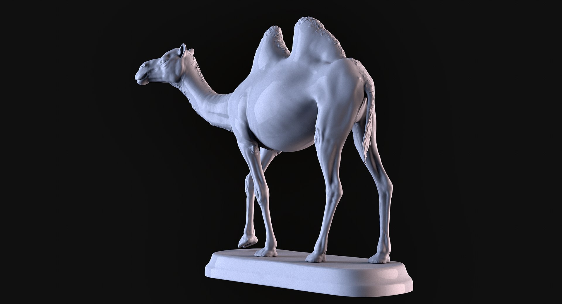 Camel 3D Model - TurboSquid 1940077