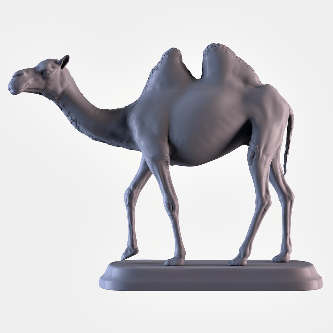 Camel 3D Model - TurboSquid 1940077