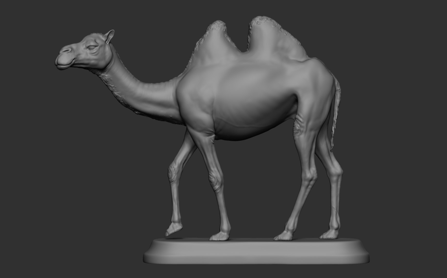 Camel 3D Model - TurboSquid 1940077