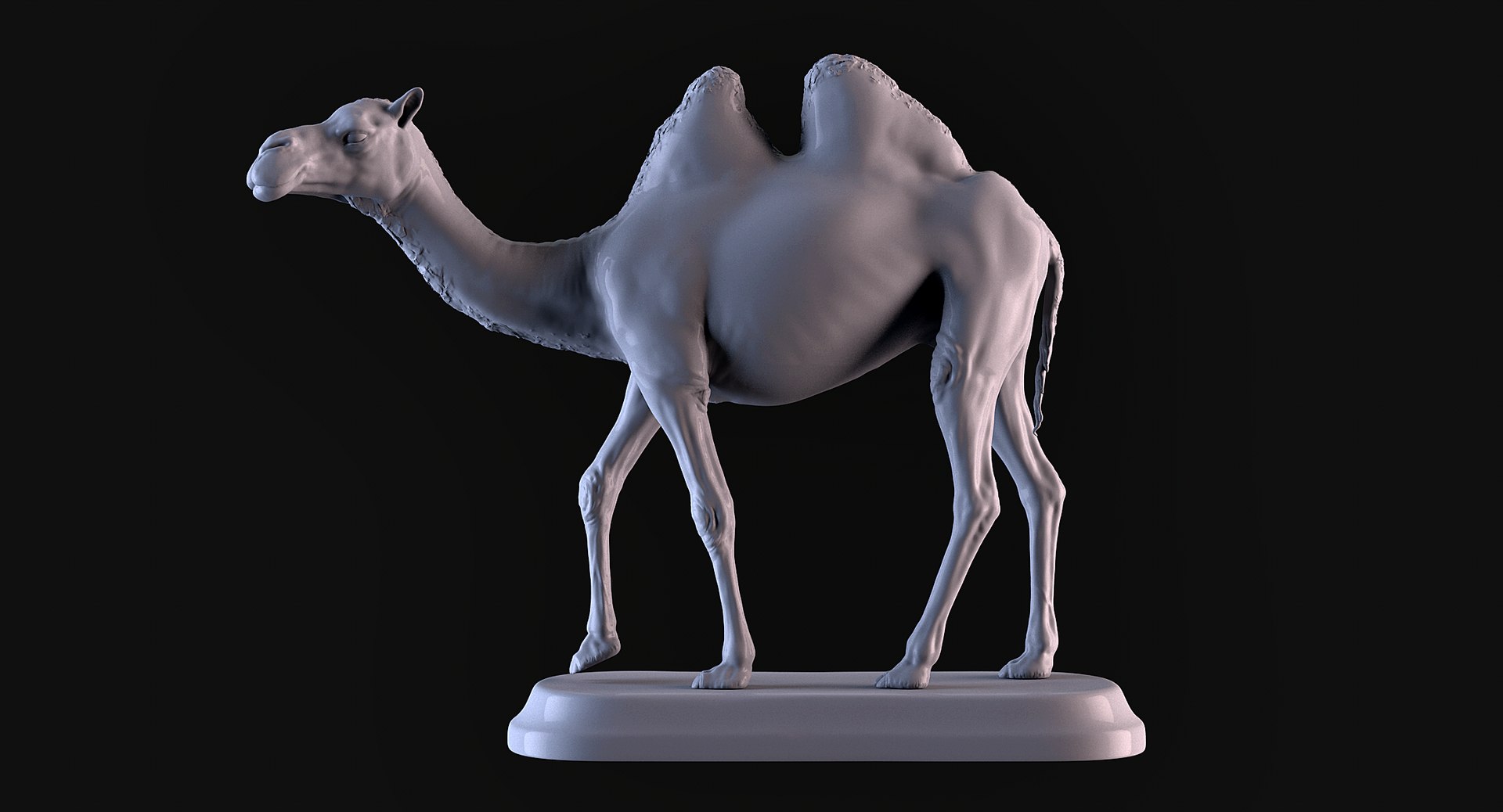 Camel 3D Model - TurboSquid 1940077