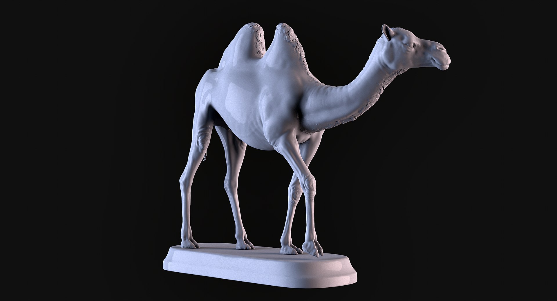 Camel 3D Model - TurboSquid 1940077
