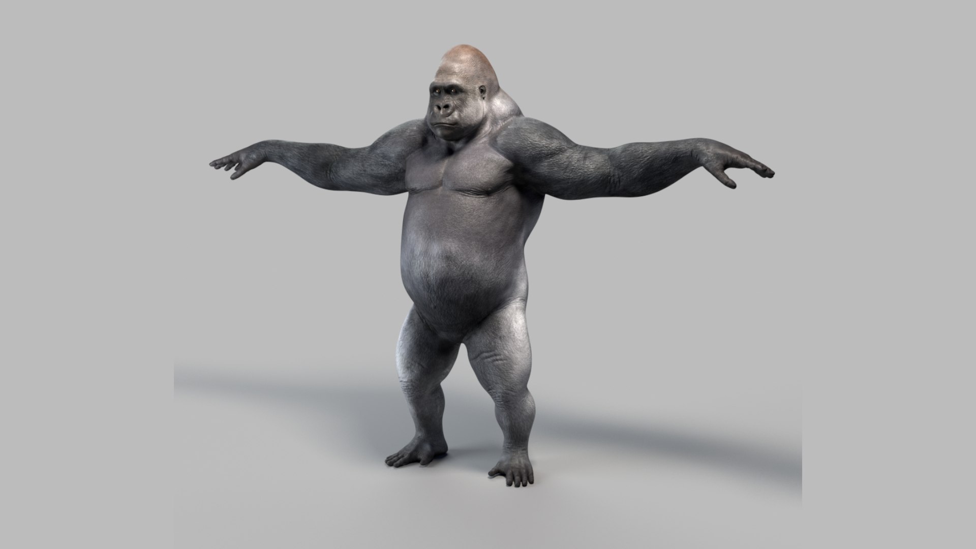 Realistic Silverback Gorilla 3D Model - TurboSquid 1315610