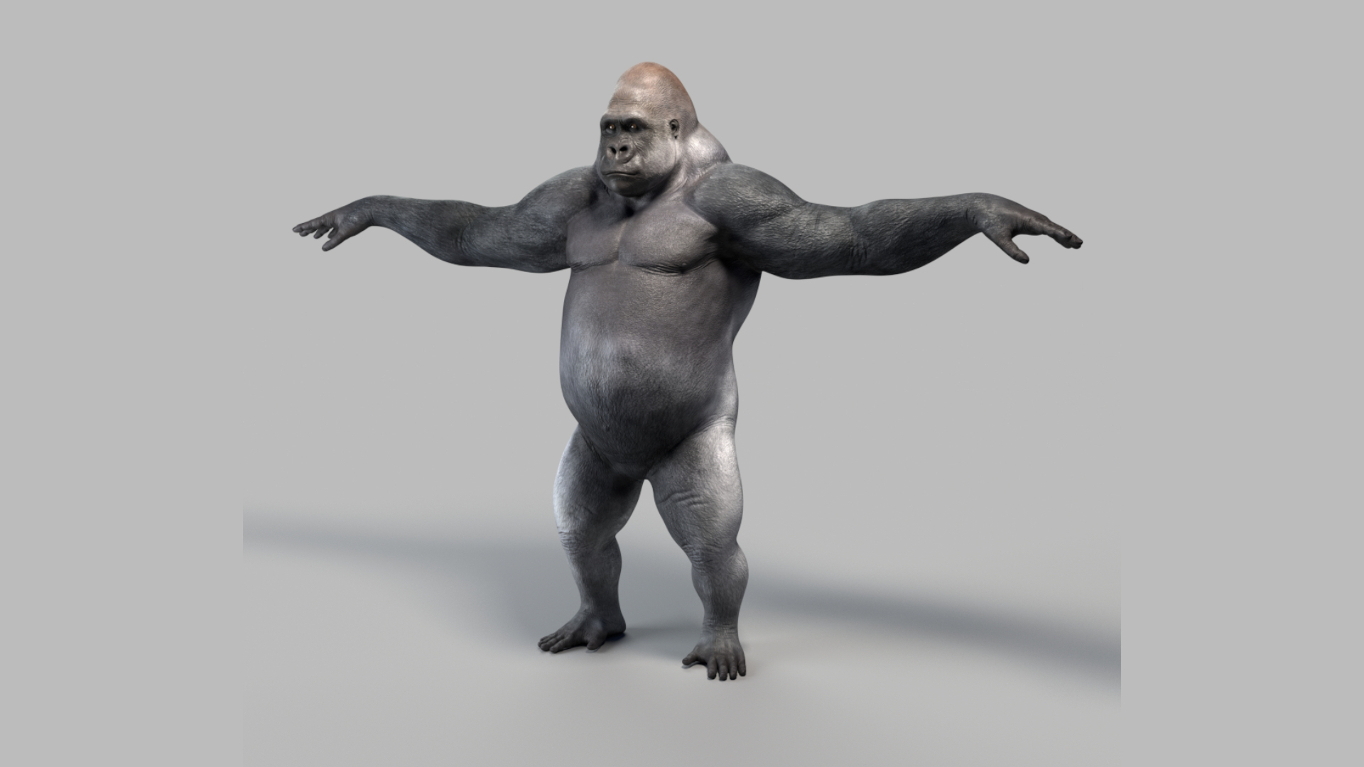 Realistic silverback gorilla 3D model - TurboSquid 1315610