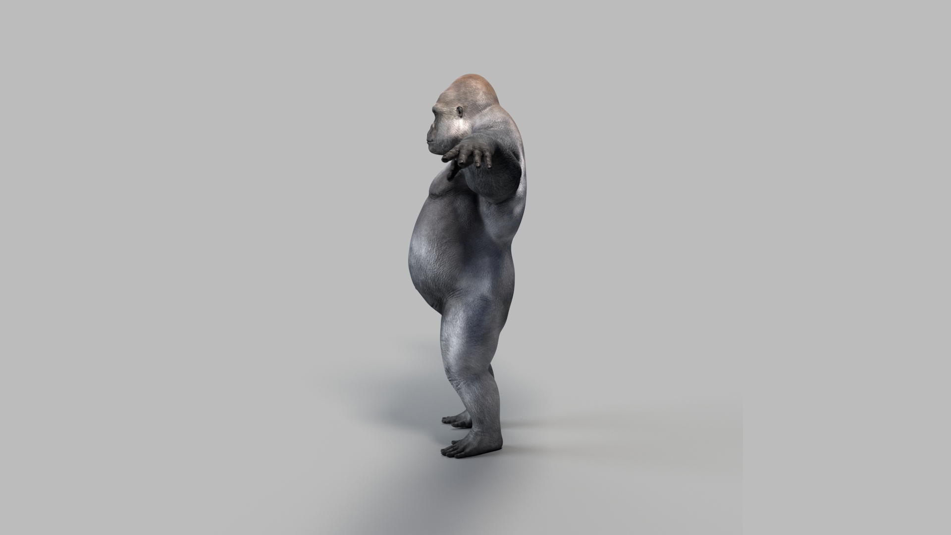 Realistic silverback gorilla 3D model - TurboSquid 1315610