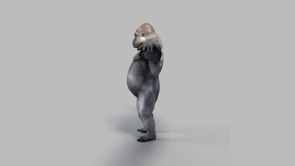 Realistic silverback gorilla 3D model - TurboSquid 1315610