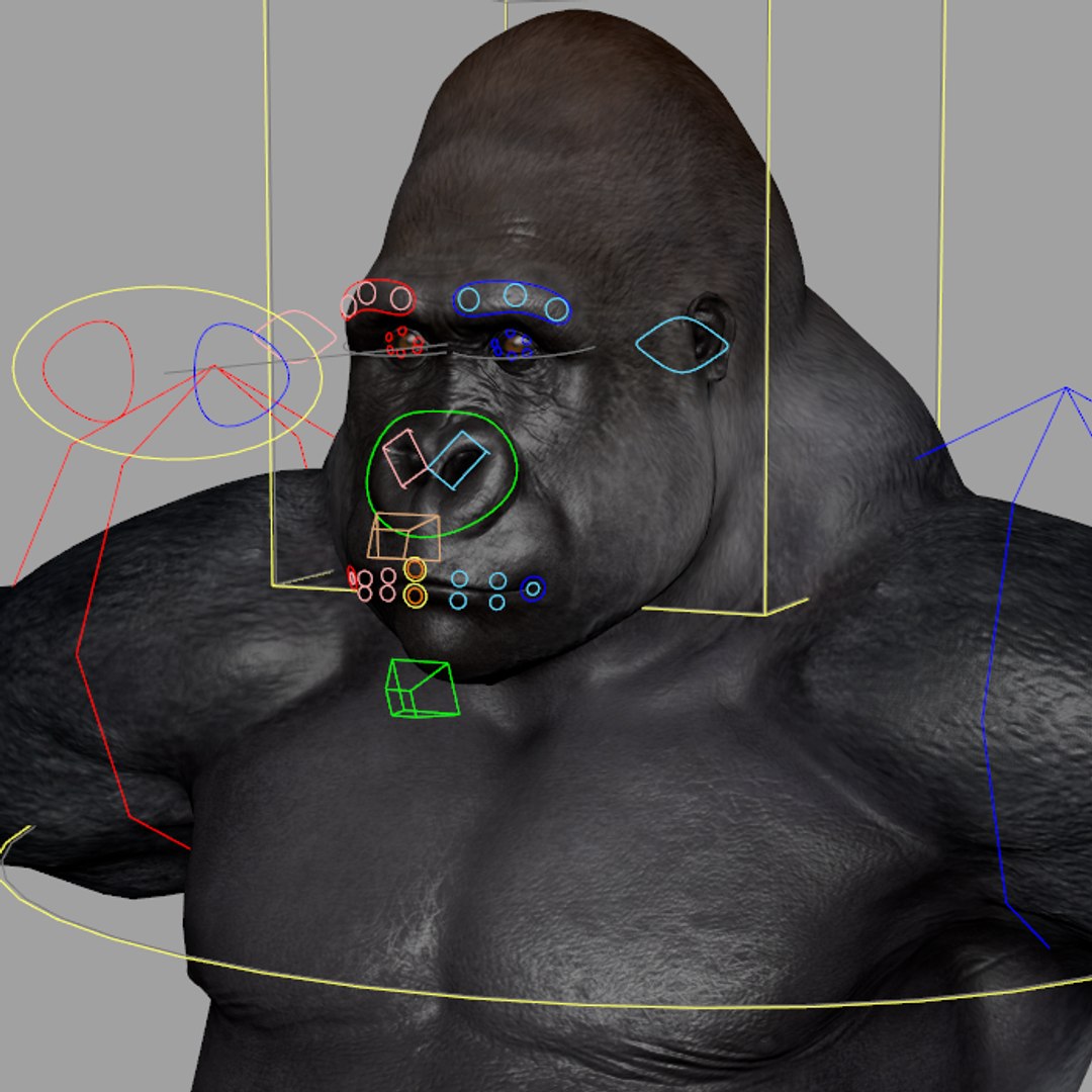 Realistic Silverback Gorilla 3D Model - TurboSquid 1315610