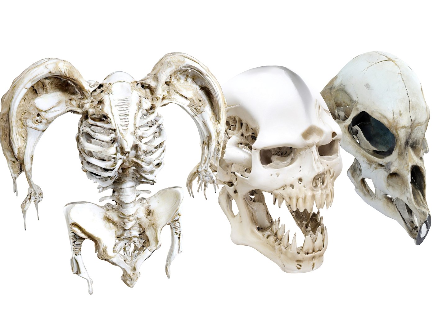 Prehistoric Bones 3D Model - TurboSquid 2298112