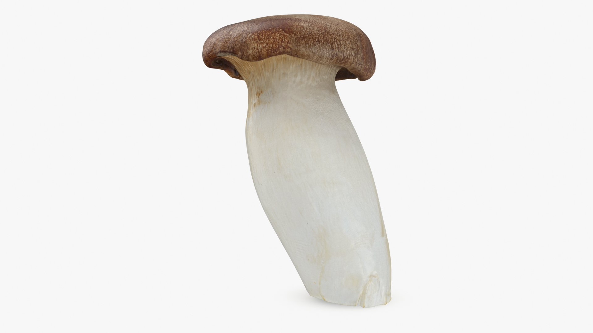 3D King Trumpet 03 Model - TurboSquid 2252781