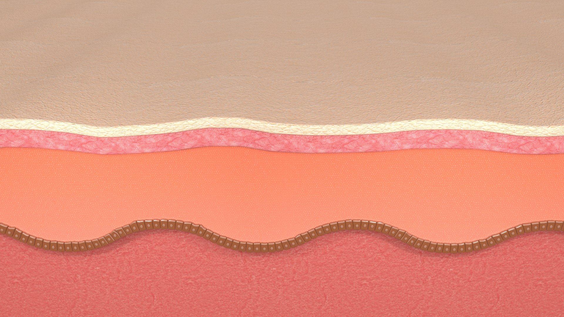 Skin Healthy 3D Model - TurboSquid 1580099