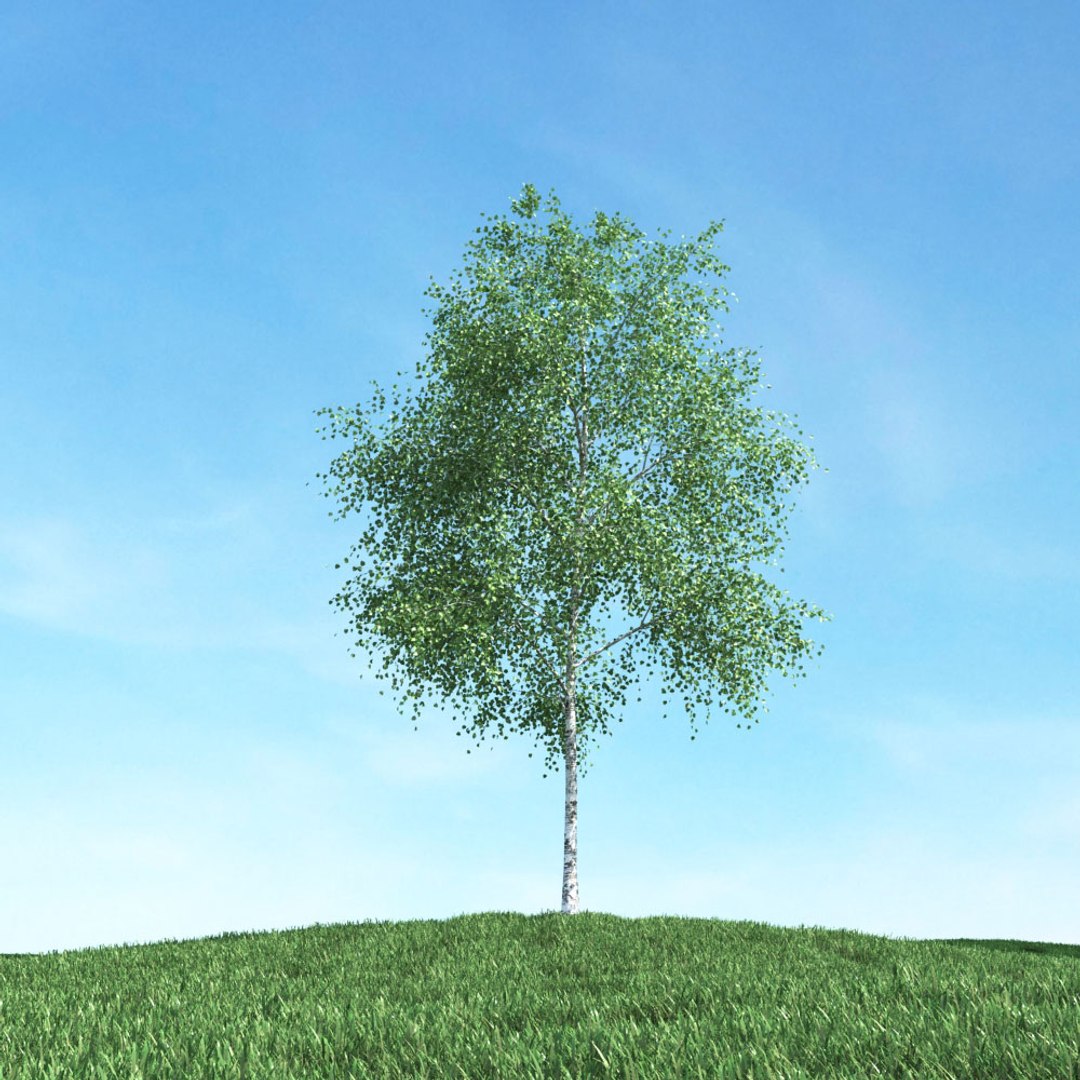 archmodels vol 106 trees max
