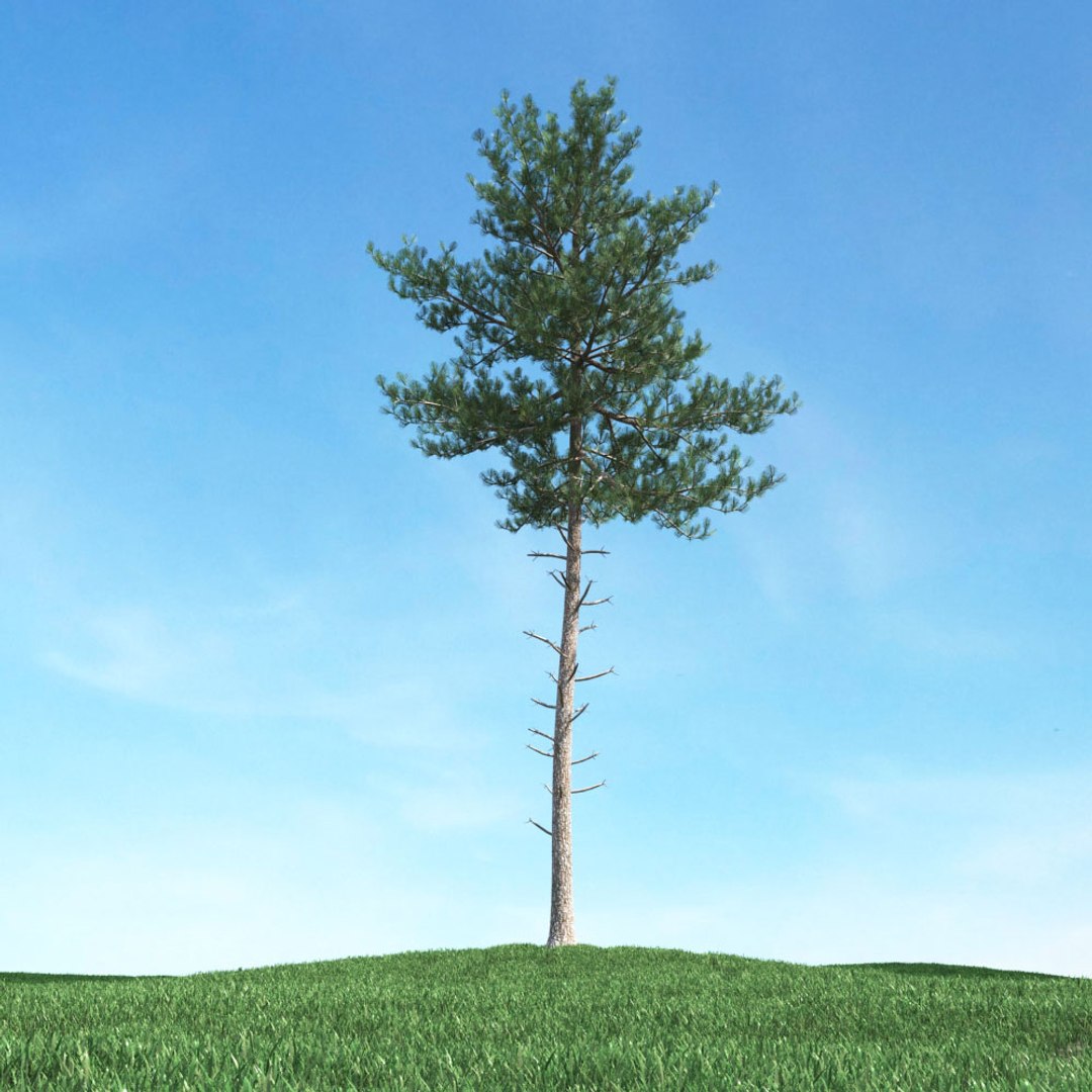 archmodels vol 106 trees max