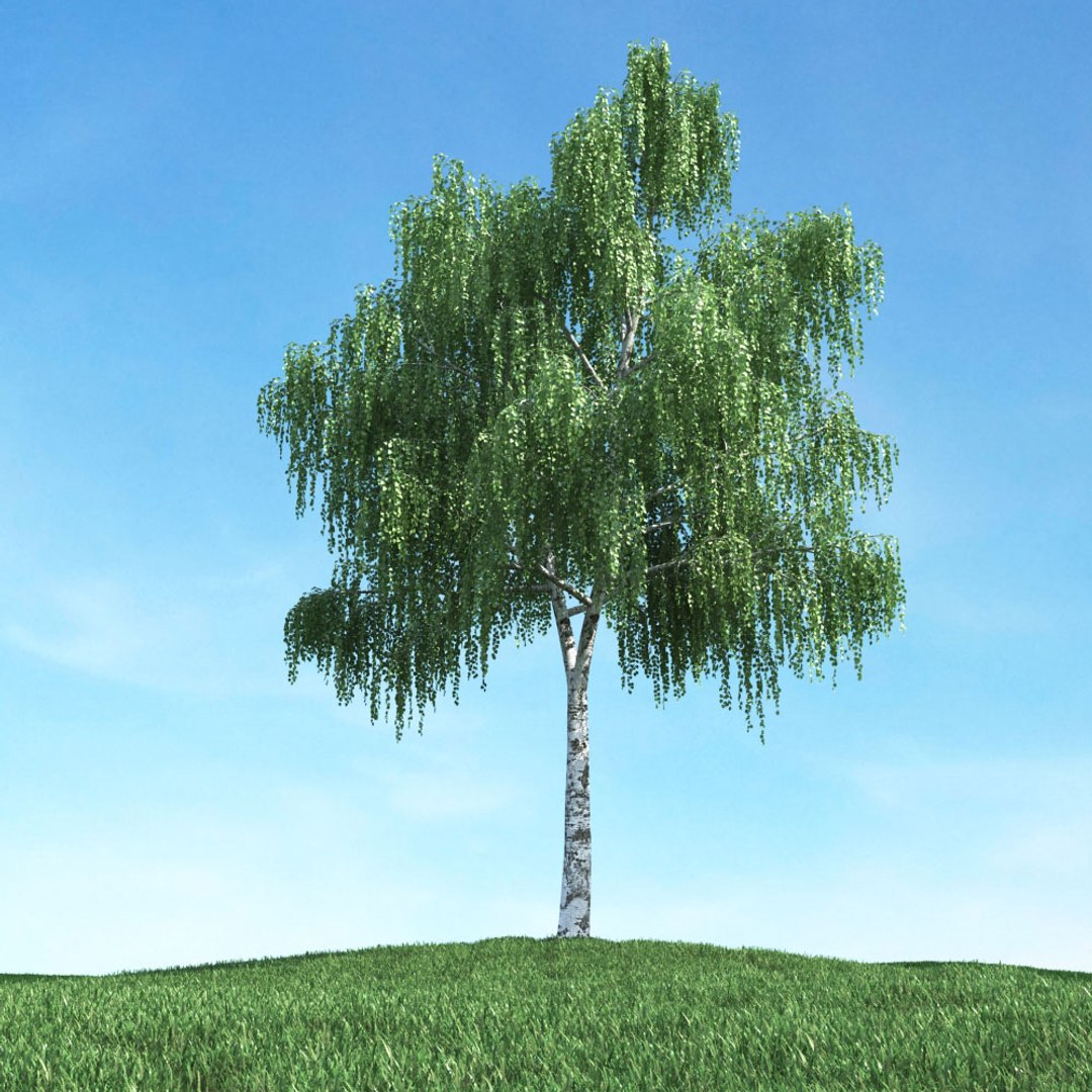 archmodels vol 106 trees max