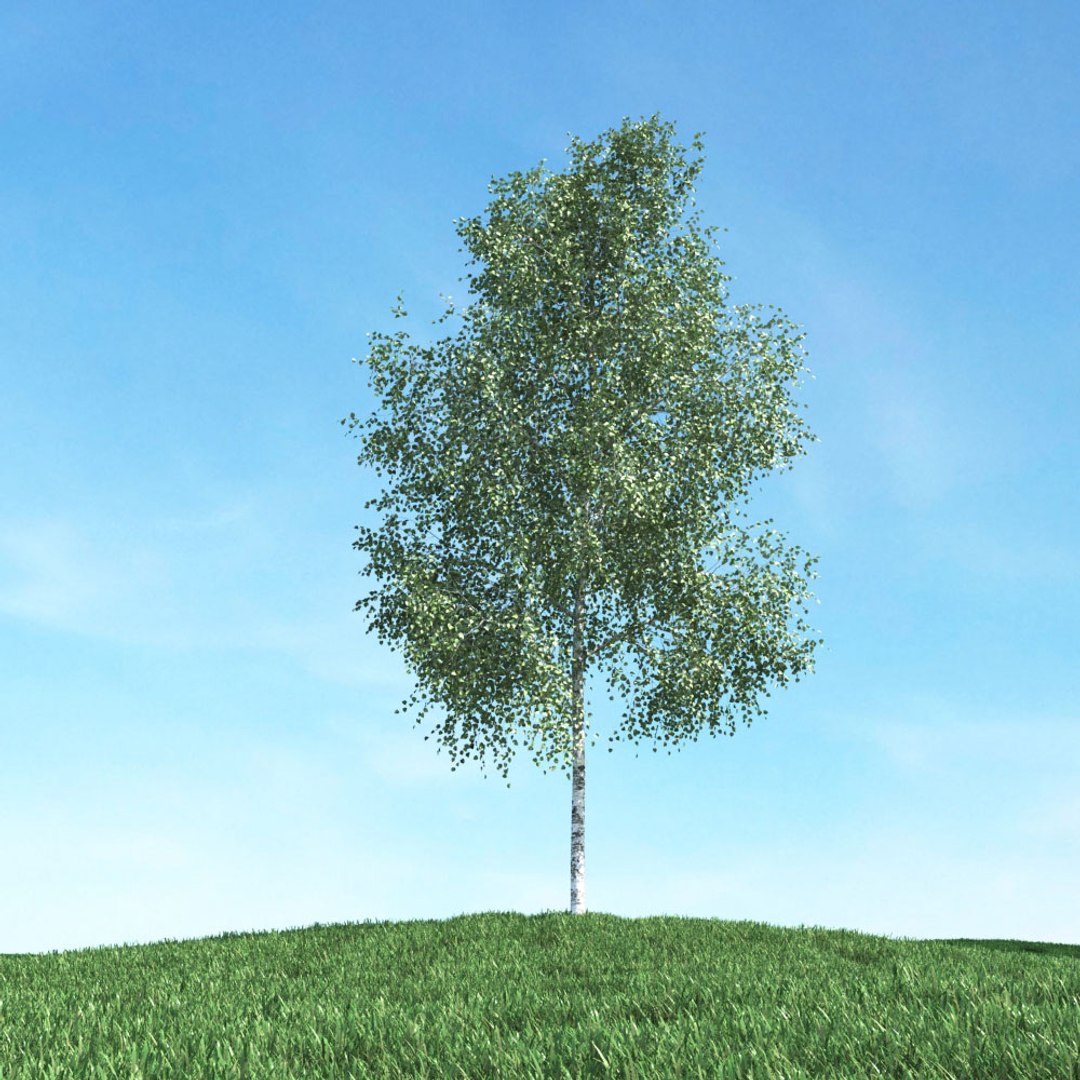 archmodels vol 106 trees max