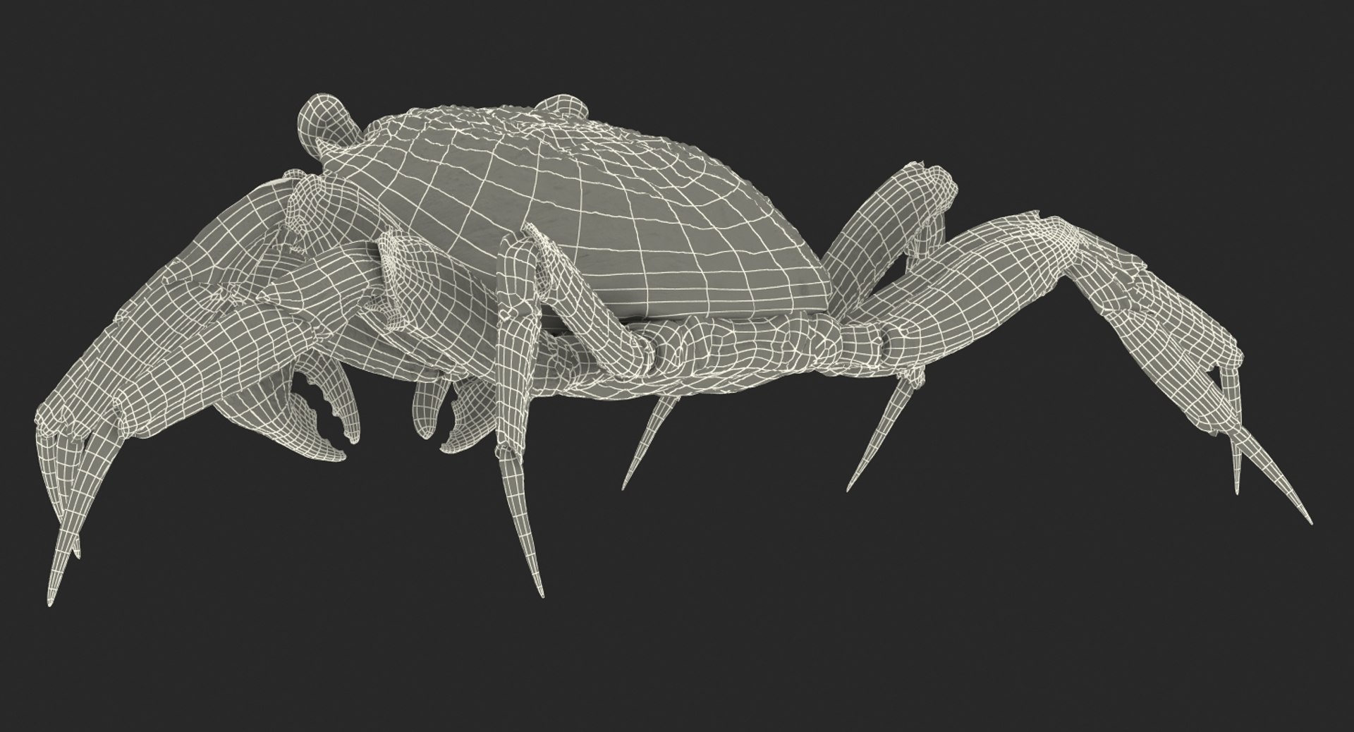 Vampire Crab Geosesarma 3d Model