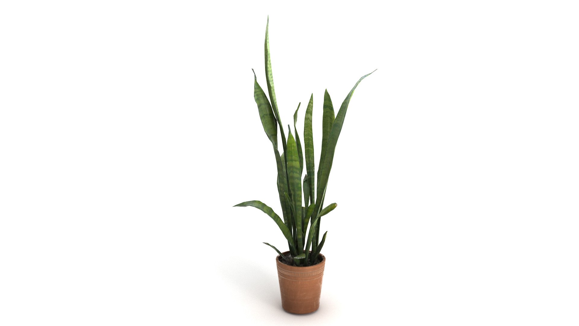 3D Model Potted Plant - TurboSquid 2041599