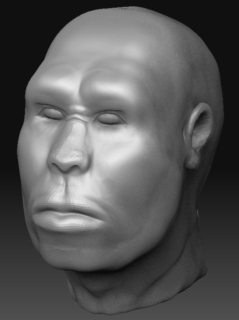 3d Max Head Homo Erectus