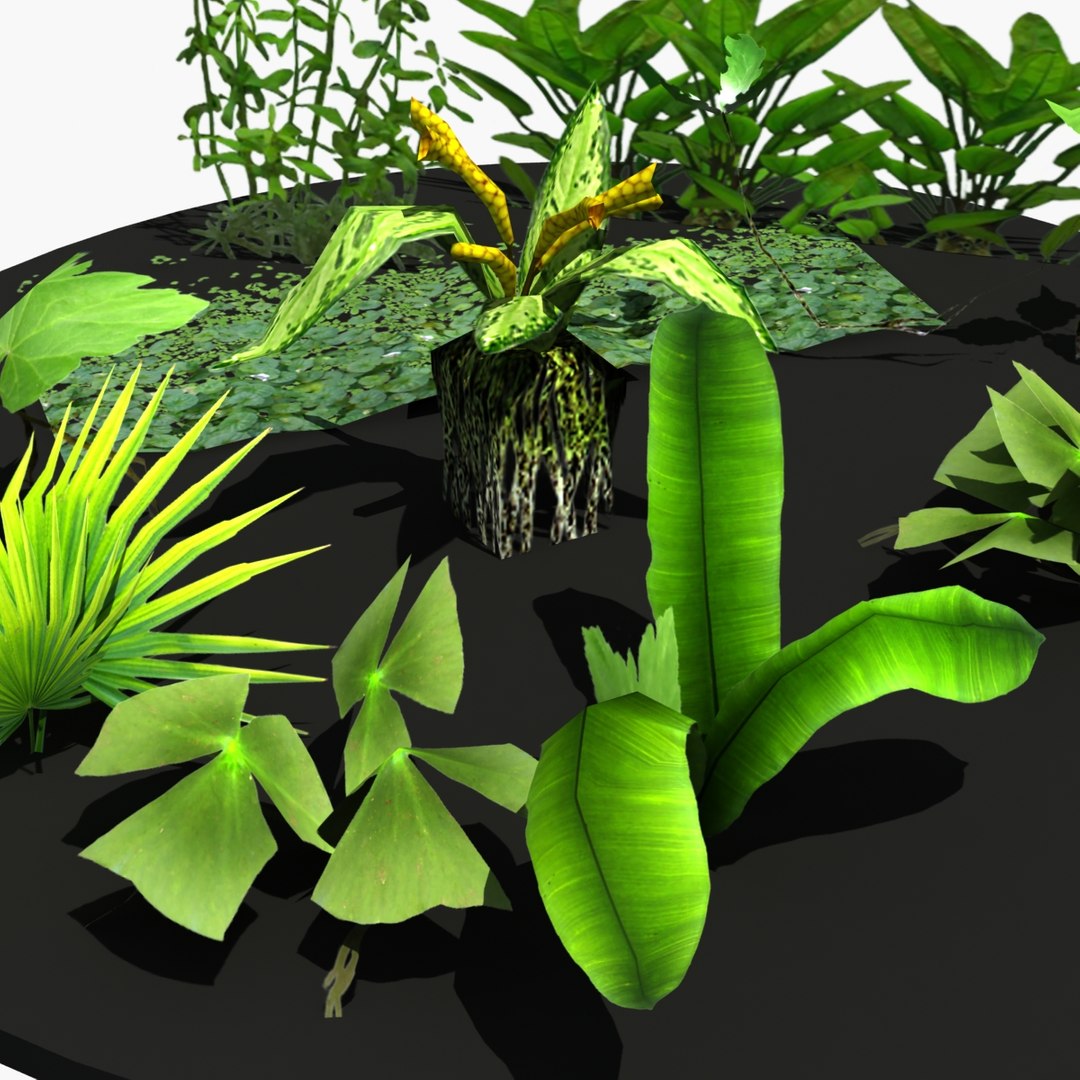 3d Model Water Plants