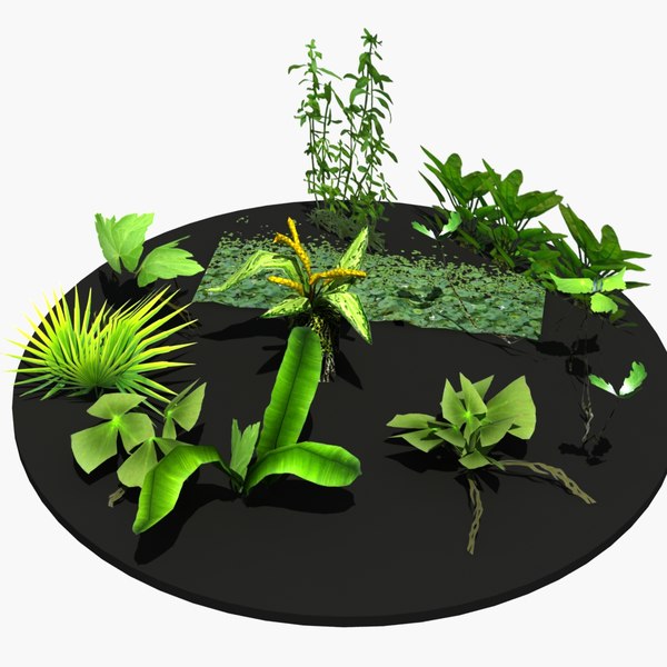 3d model water plants