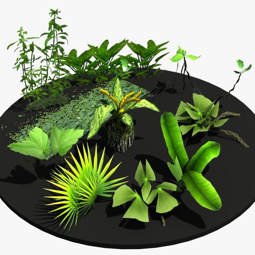3d Model Water Plants