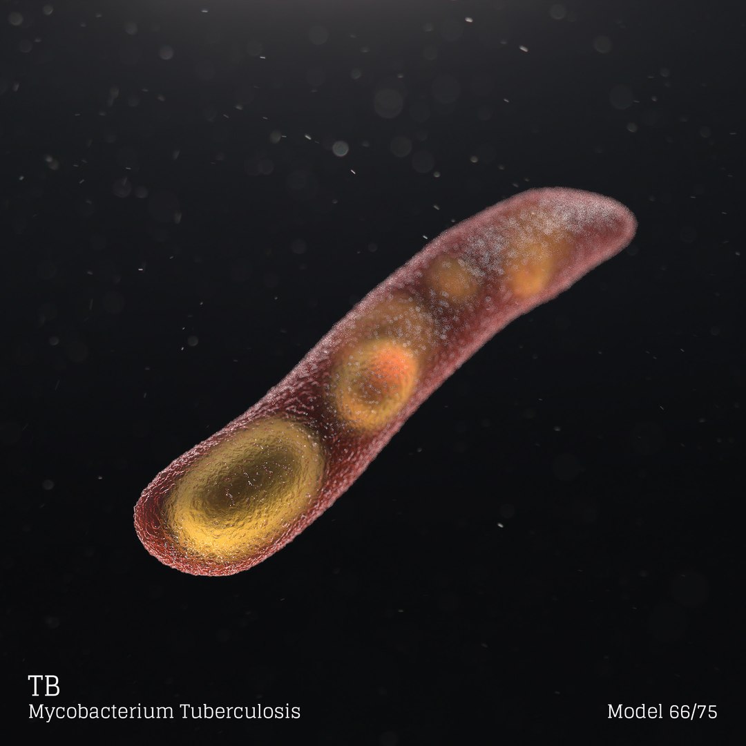 Microbes Bacteria Cells 3D Model - TurboSquid 1626208