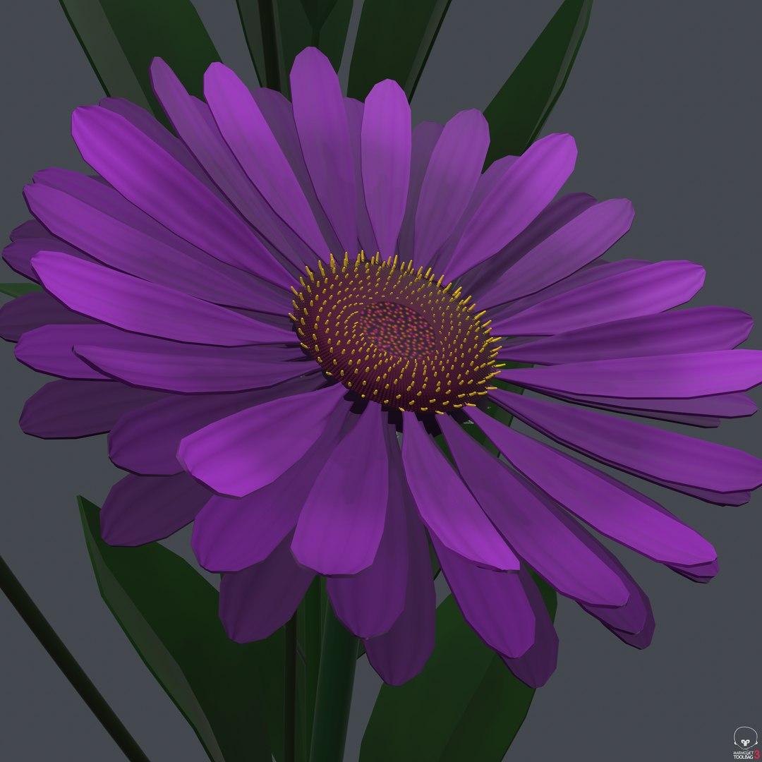 3D Gerbera Daisy Vase - TurboSquid 1319783