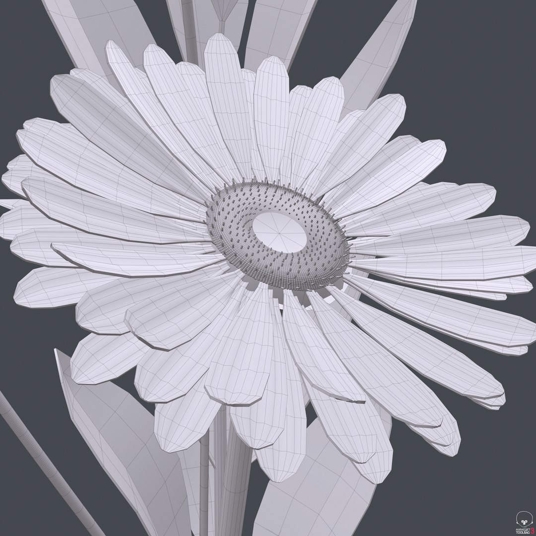 3D Gerbera Daisy Vase - TurboSquid 1319783