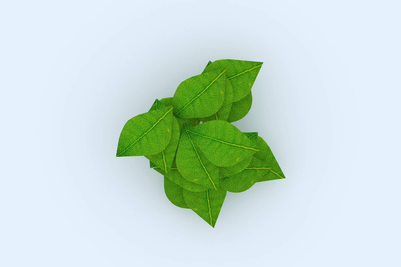 3D Leaf 1 - TurboSquid 1724251