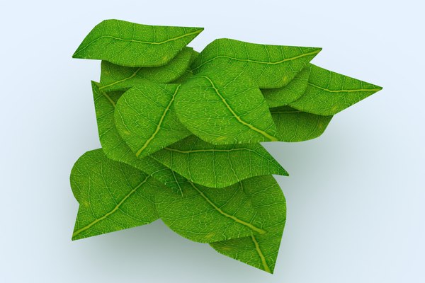 STL Leaf Models | TurboSquid