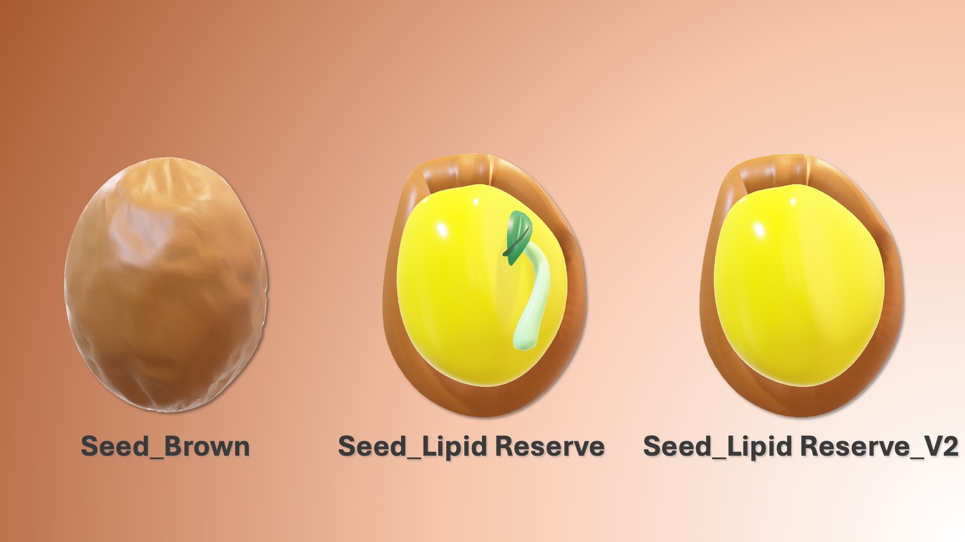 Free 3D Seed Seedlings Model - TurboSquid 2268598