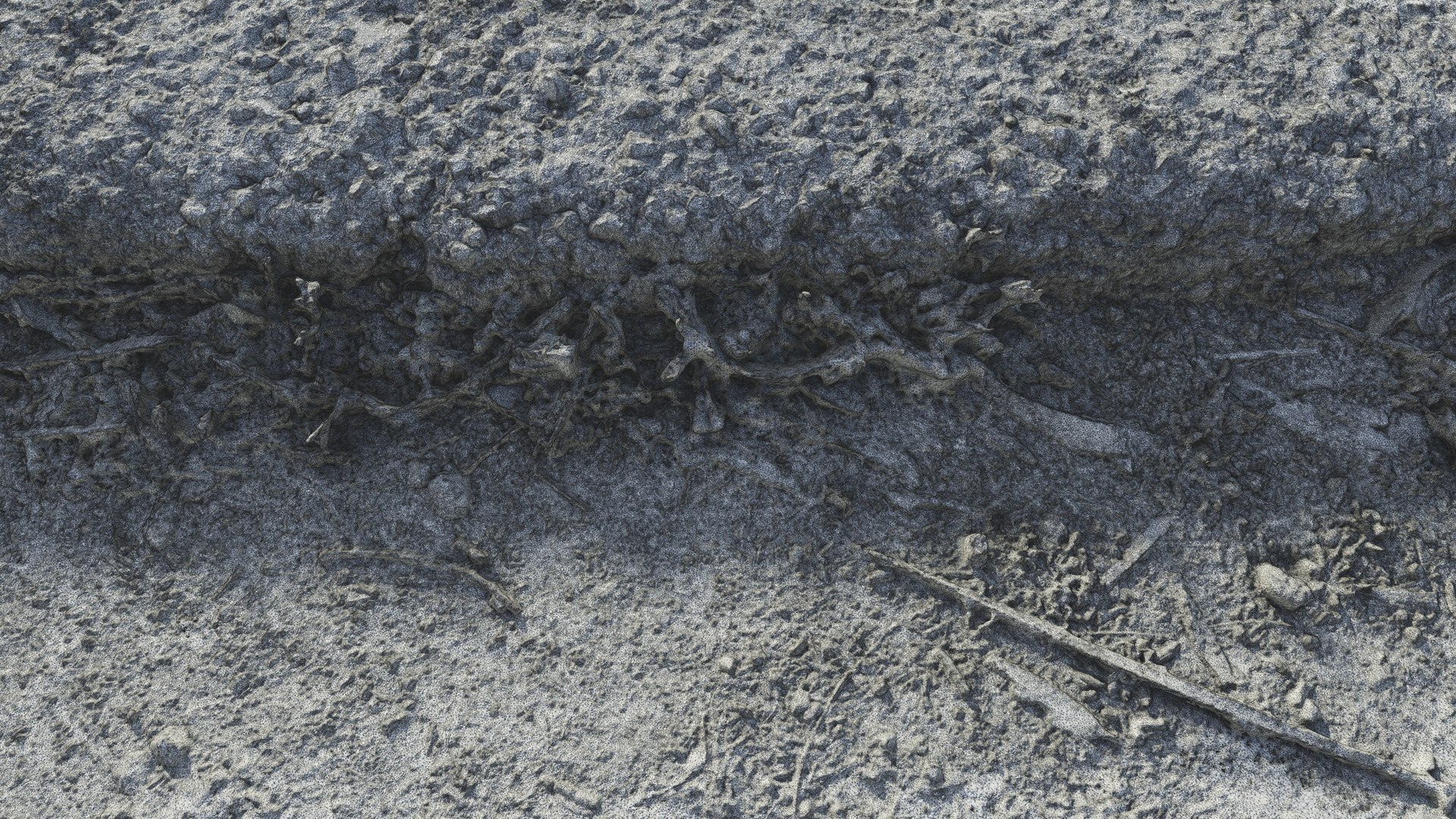 3D Roadedge2023 Model - TurboSquid 2083678