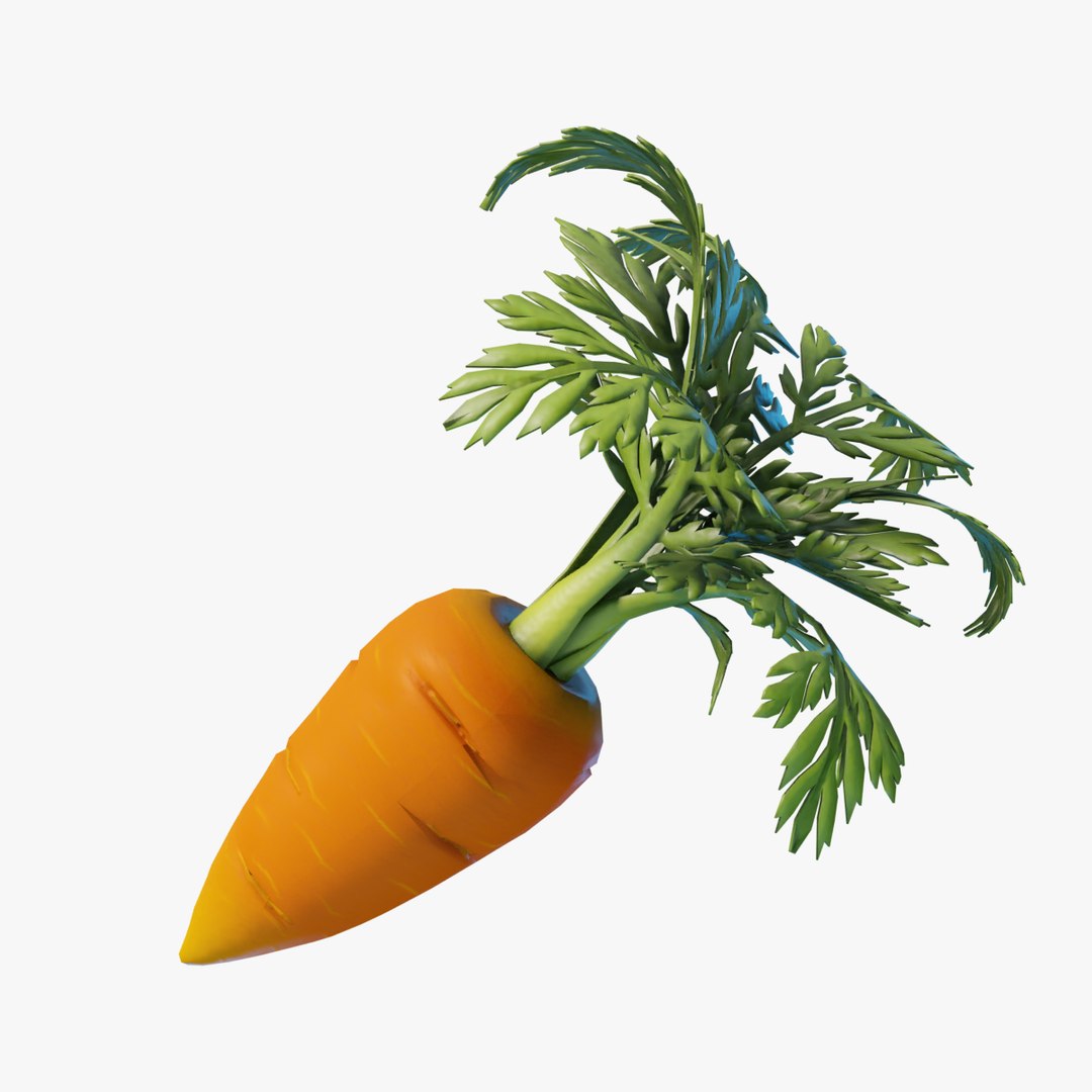 Cartoon Carrot 3D Model - TurboSquid 1728206