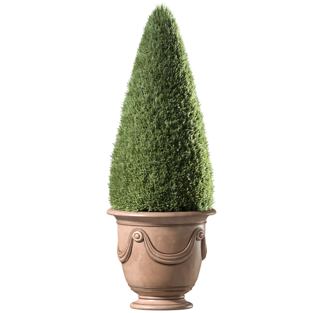 Thuja In A Classic French Pot Tree Patio Porch Balcony 3D Model ...