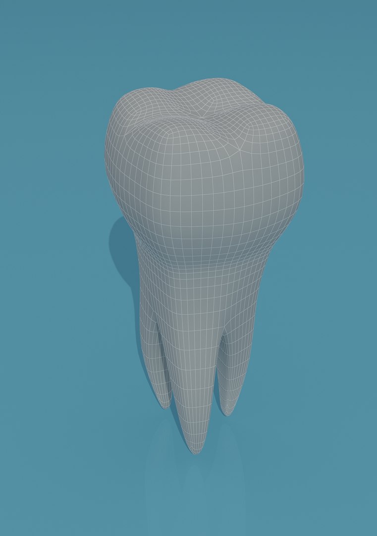 maya tooth