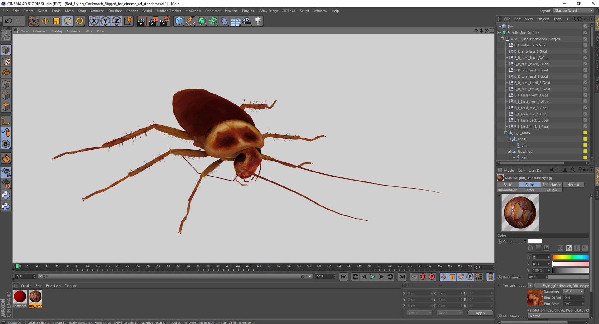 3D Red Flying Cockroach Rigged For Cinema 4D Model - TurboSquid 2081174