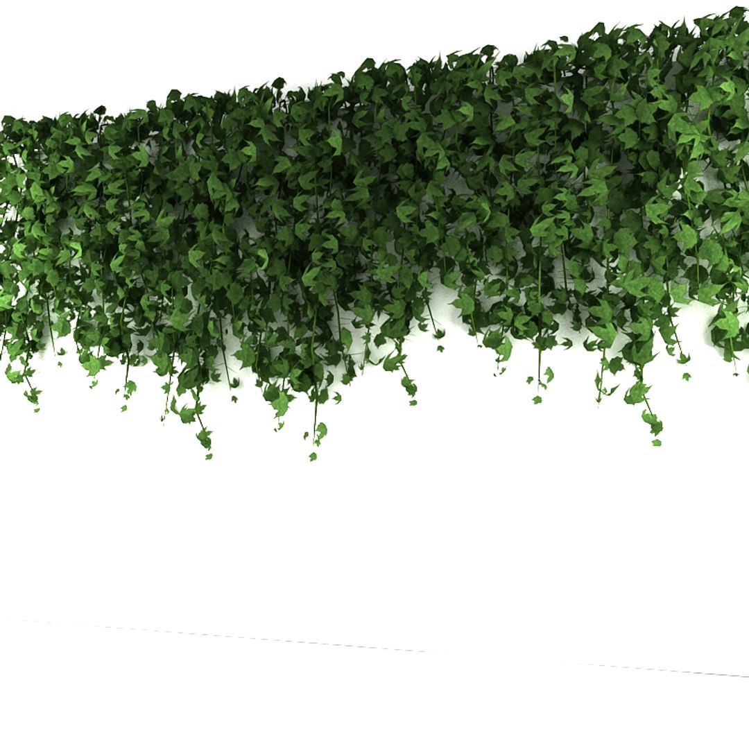 Max Wall Hanging Plant