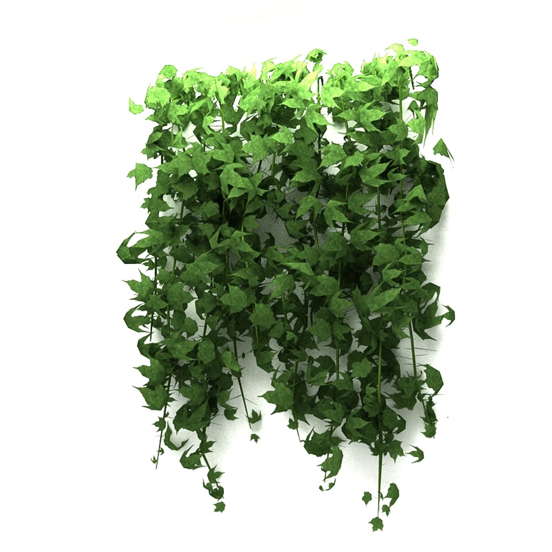 Max Wall Hanging Plant