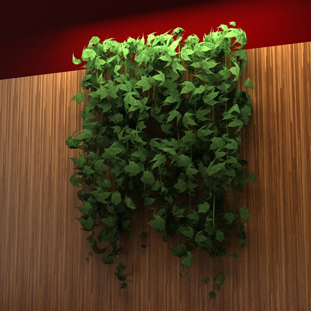 Max Wall Hanging Plant