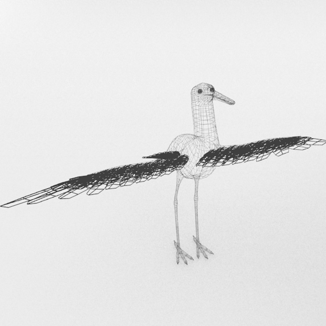 Stork 3D Model - TurboSquid 1316815