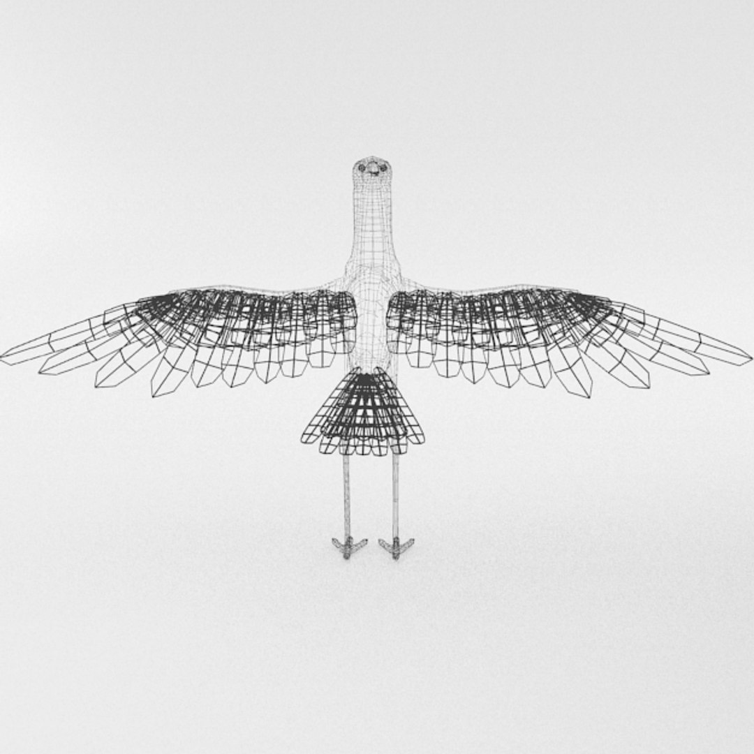 Stork 3D Model - TurboSquid 1316815