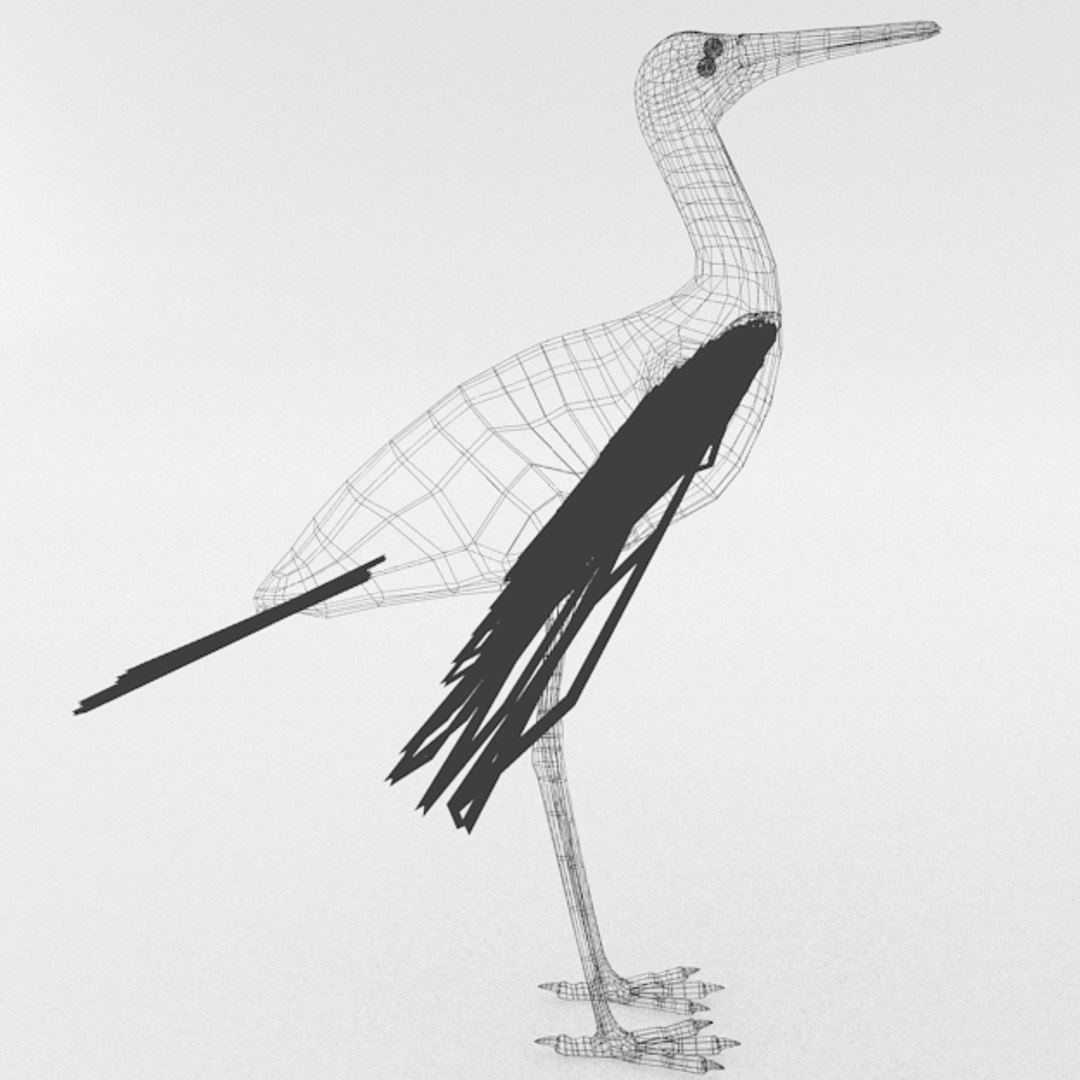 Stork 3D Model - TurboSquid 1316815