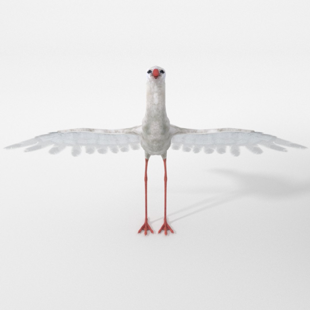 Stork 3D Model - TurboSquid 1316815