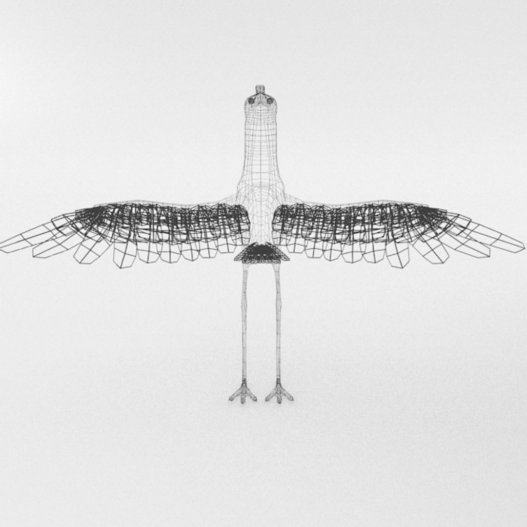 Stork 3D Model - TurboSquid 1316815
