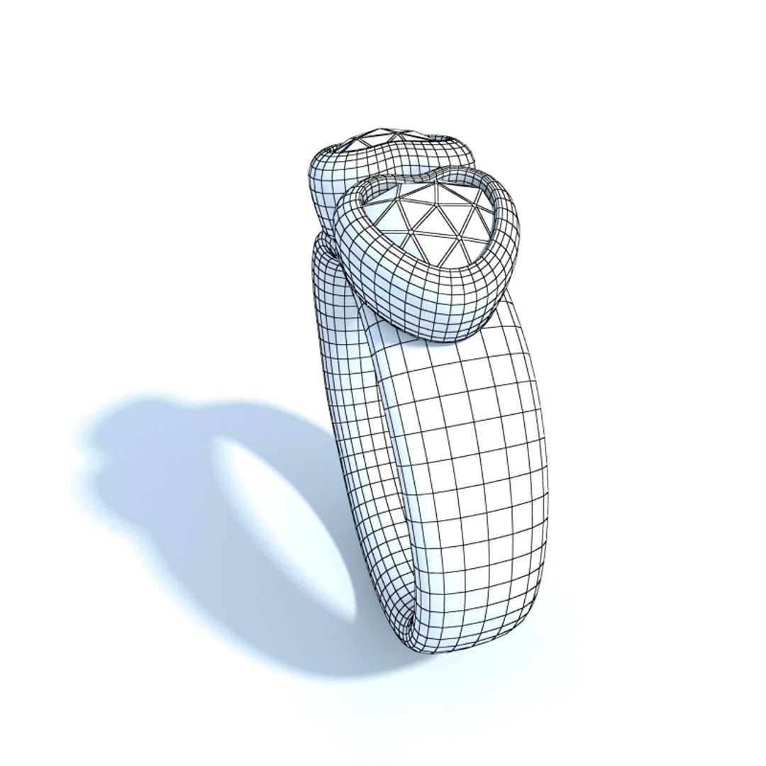 3d Ring Modelled Mesh