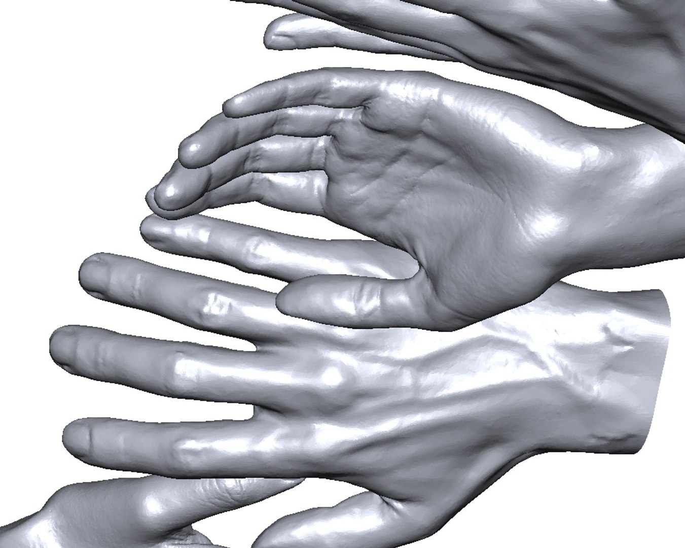 3D Scan Hands - TurboSquid 1349078