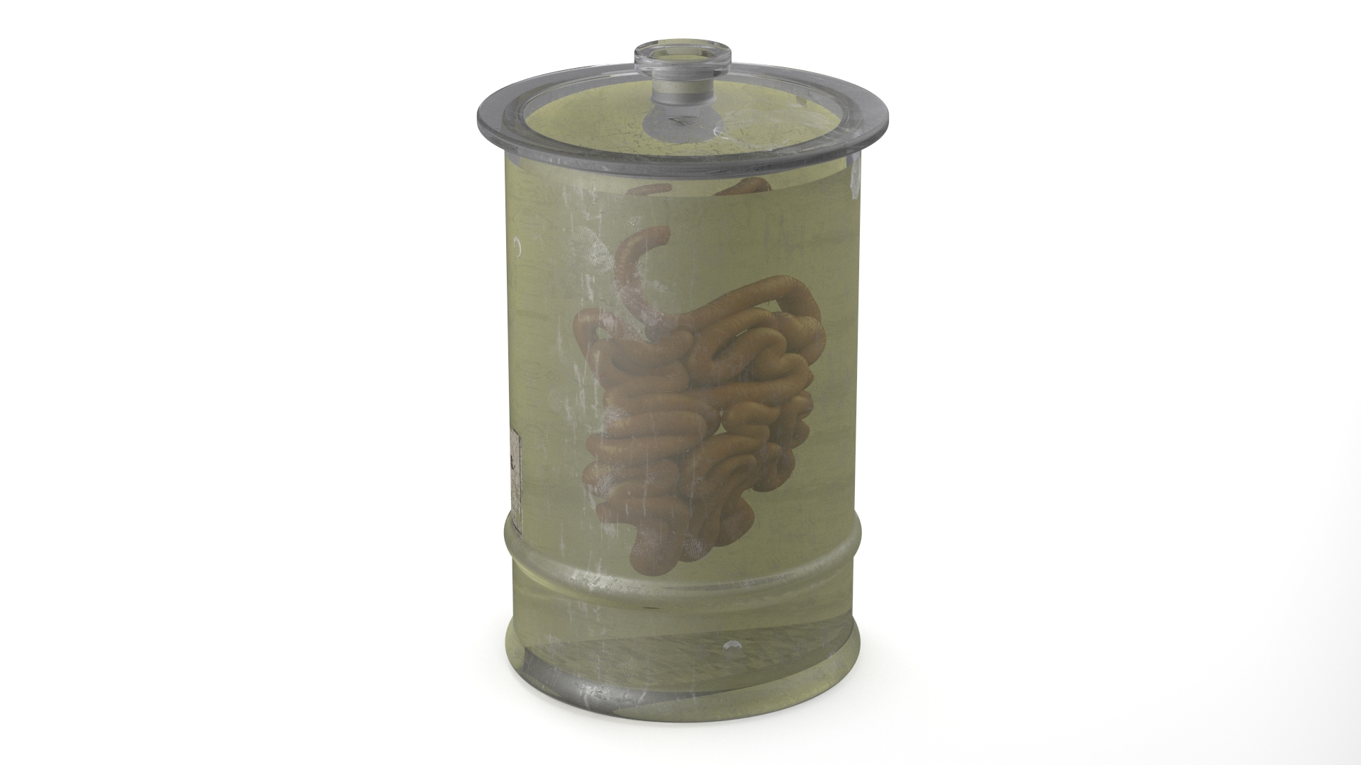 3D Human Small Intestine In Old Glass Jar Model - TurboSquid 2259029