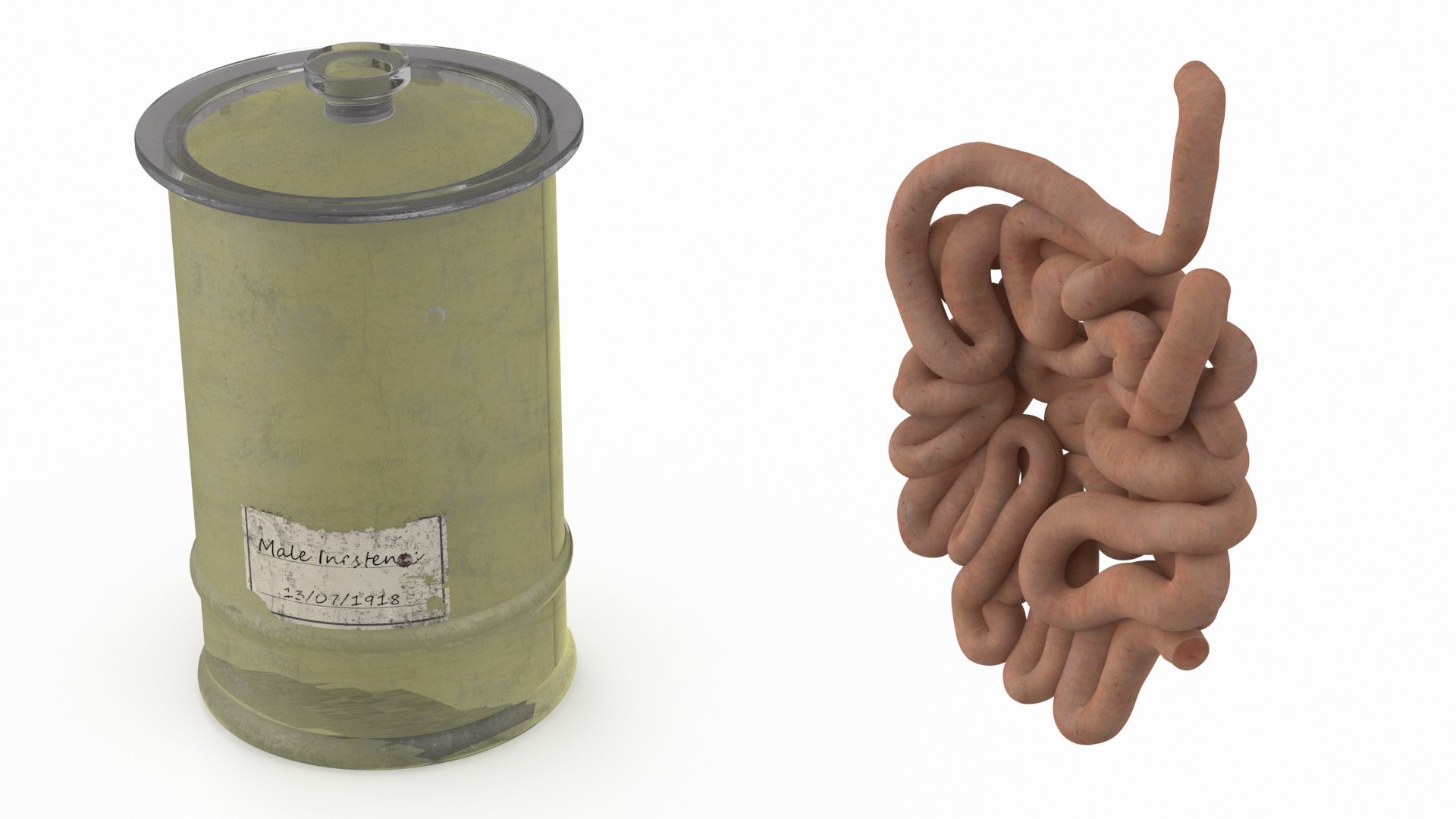 3D Human Small Intestine In Old Glass Jar Model - TurboSquid 2259029