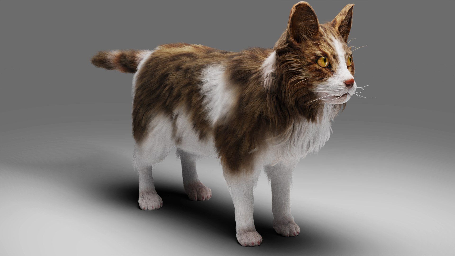3D Fur Cat Calico V03 Rigged And Animated - TurboSquid 1981446