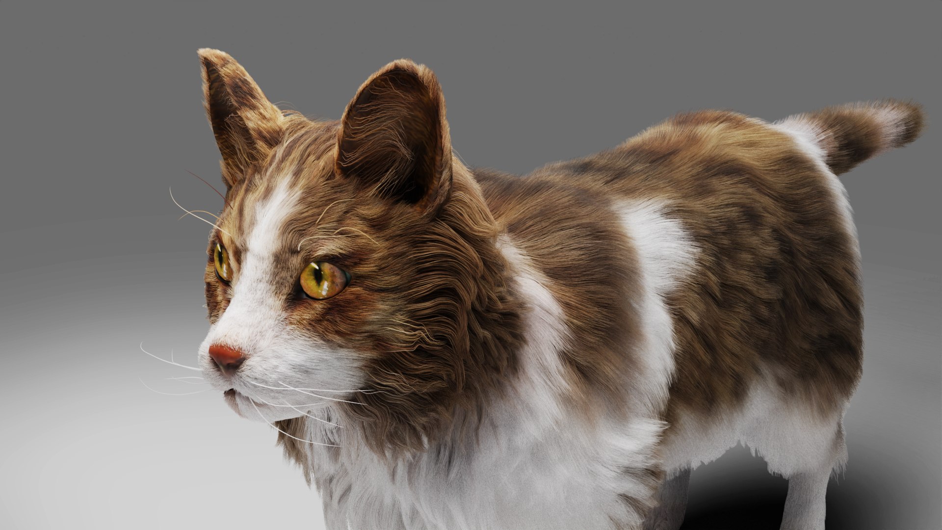 3D Fur Cat Calico V03 Rigged And Animated - TurboSquid 1981446